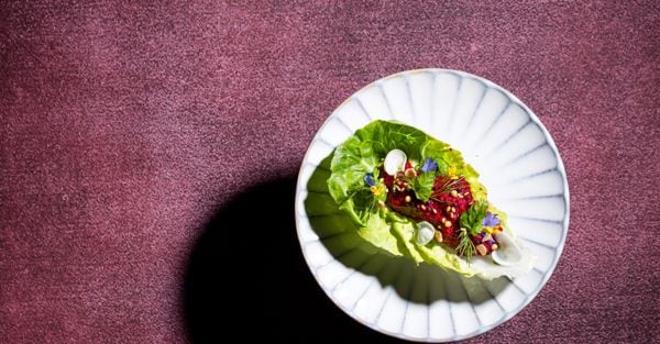 Thanda island, nuotando con lo sceicco delle tartarughe - Il Sole 24 ORE