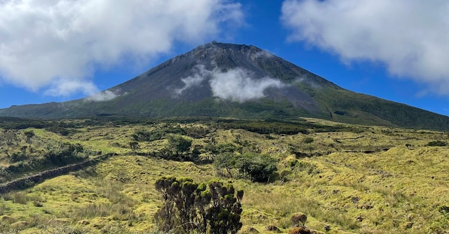 The spectacular Azores of Pico Island - Il Sole 24 ORE