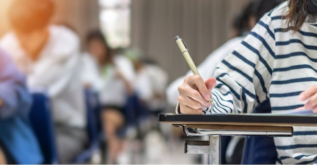 From school career to Invalsi results, here is the new student ...