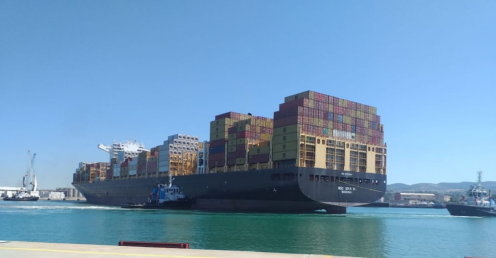 Change of ownership at Msc container ship king passes shares to sons ...