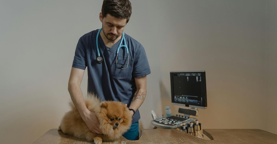 Previdenza veterinari, Enpav presenta il primo bilancio di ...