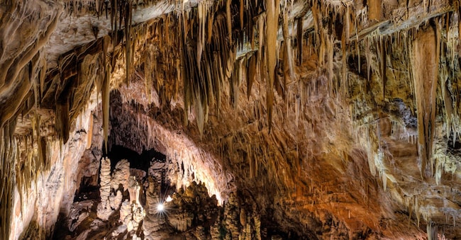 From the Karst to the Alps: science and discovery - Il Sole 24 ORE