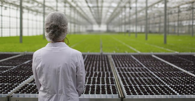 New biotechnologies: the European Parliament’s vote on TEAs that could ...