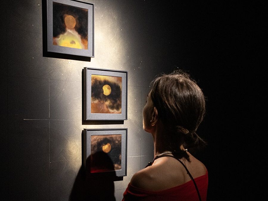 Rohini Devasher in mostra al Mudec - Il Sole 24 ORE