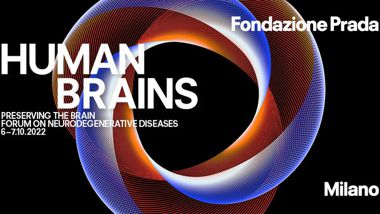 Human Brains: Preserving the Brain Forum on Neurodegenerative Diseases ...