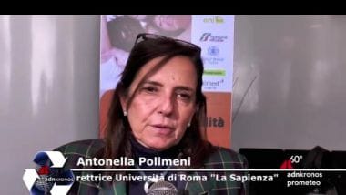 Sostenibilità, Polimeni: “Centrali formazione e rapporto università e ...