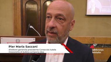 Made in Italy, Saccani “Usiamo nuove tecnologie per sviluppare prodotto ...