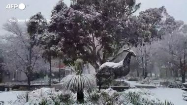 La neve ricopre l'Australia, imbiancato il campus dell'Universita' del ...