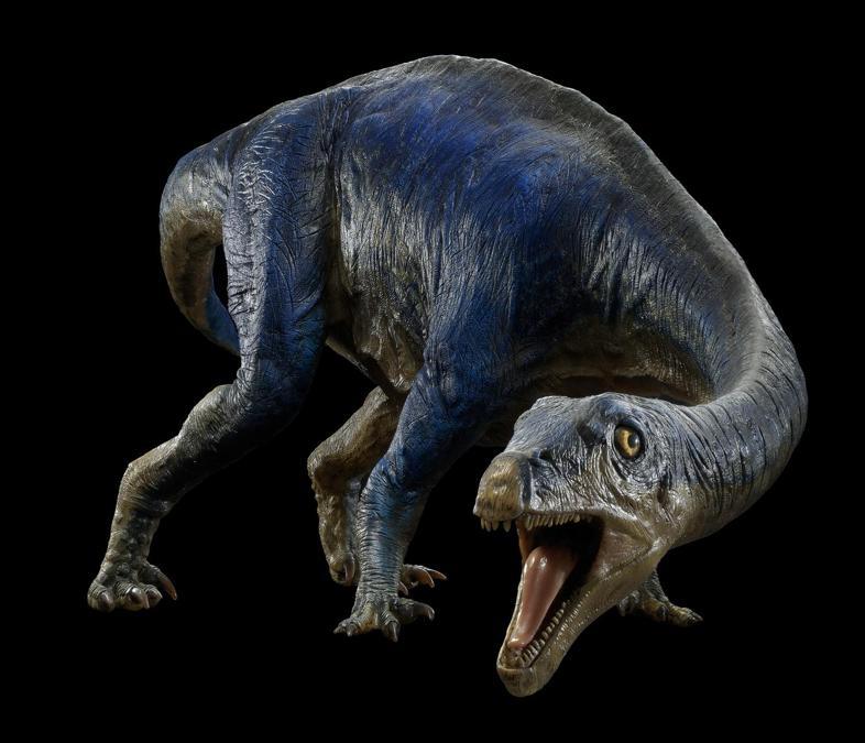 Due passi nella preistoria - Il Sole 24 ORE