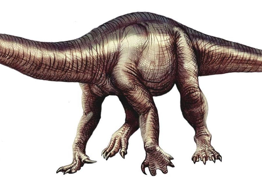 Due passi nella preistoria - Il Sole 24 ORE