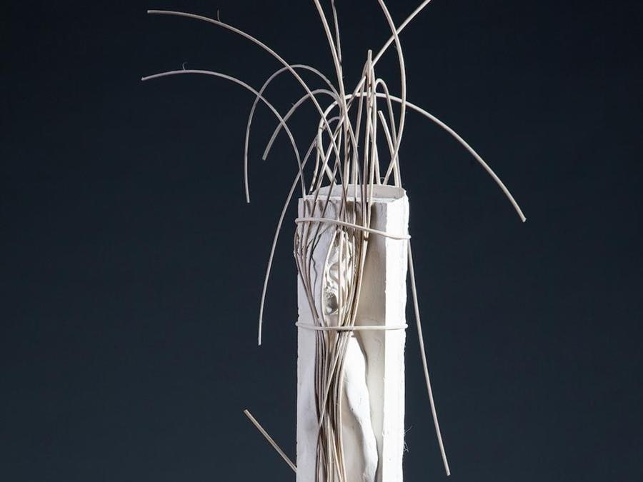 La collezione De Iorio - Il Sole 24 ORE