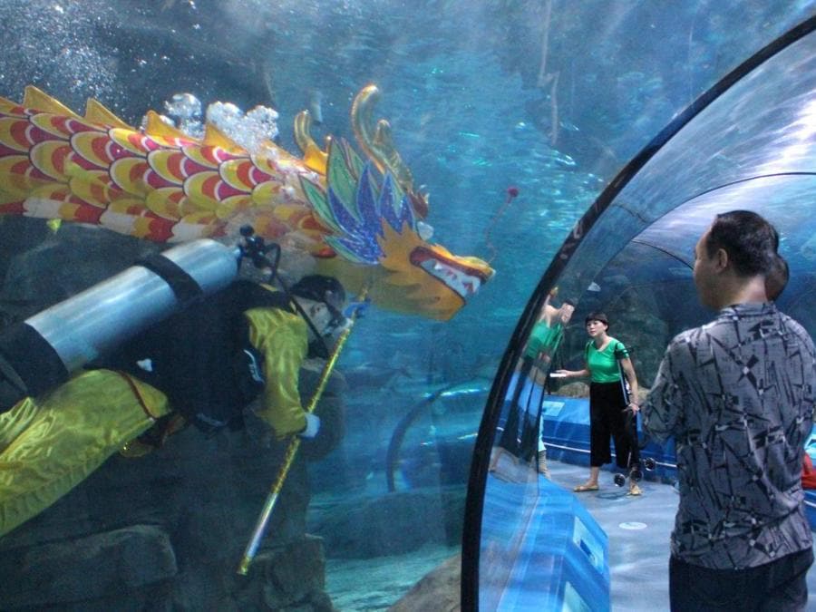 La gara di canoa durante il Dragon Boat Festival a Hong Kong - Il Sole ...