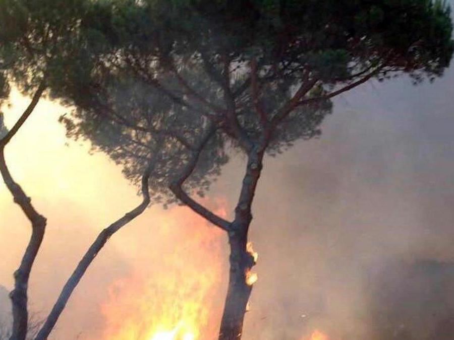 Da Castelfusano alla Toscana, la penisola nella morsa dei roghi - Il ...