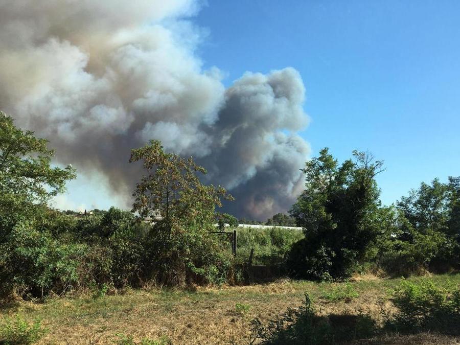 Da Castelfusano alla Toscana, la penisola nella morsa dei roghi - Il ...
