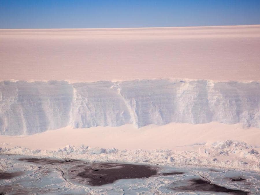 Quanta vita sotto la calotta polare - Il Sole 24 ORE