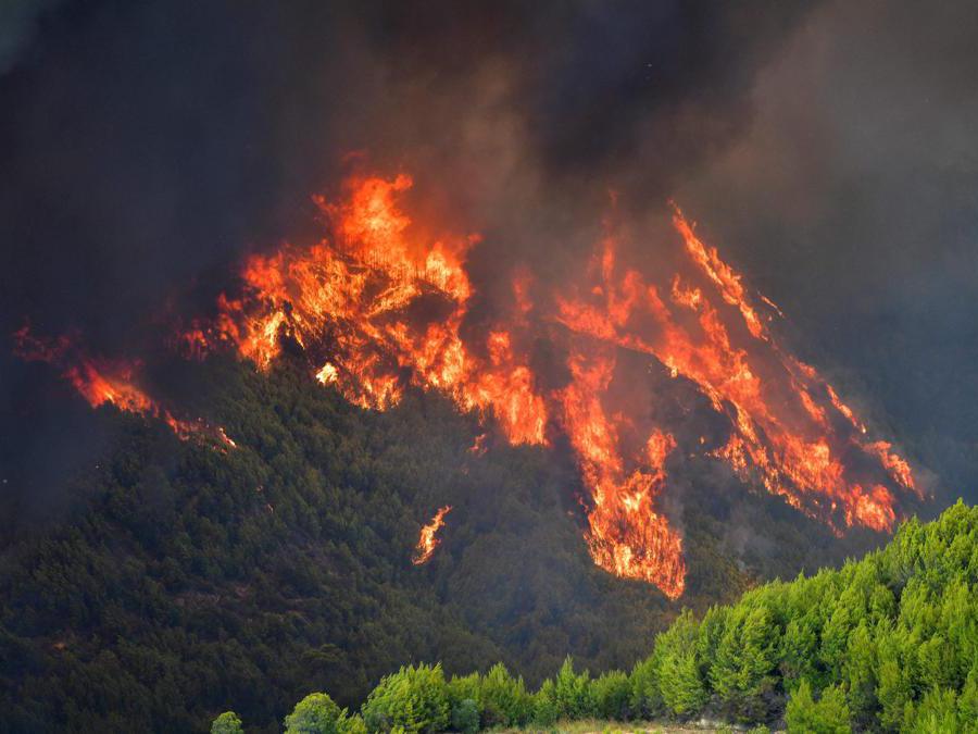 Grecia, incendio a nord di Atene: migliaia di sfollati e case distrutte ...
