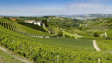Vinitaly 2019, i vigneti italiani costano più di un’isola tropicale ...